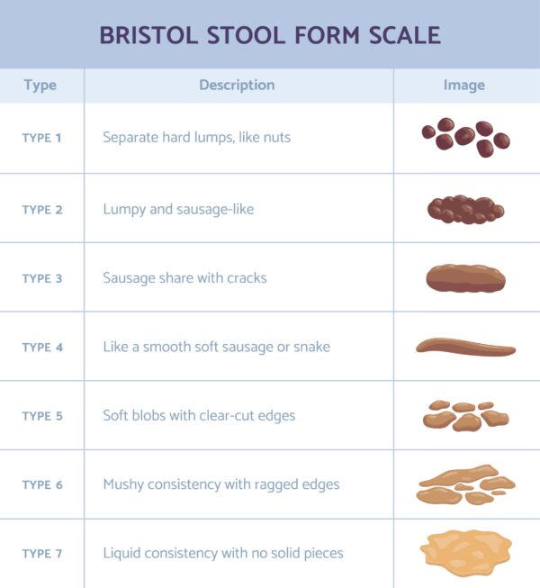 Maintaining A Healthy Bowel - National Association For Continence